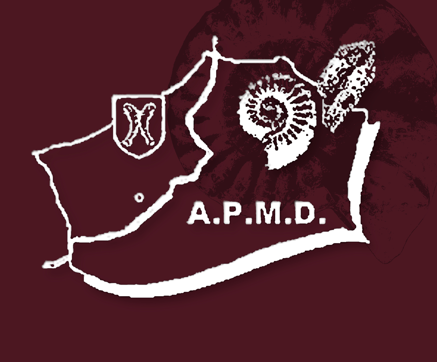 Accueil - APMD - Association de Minéralogie et de Paléontologie du ...